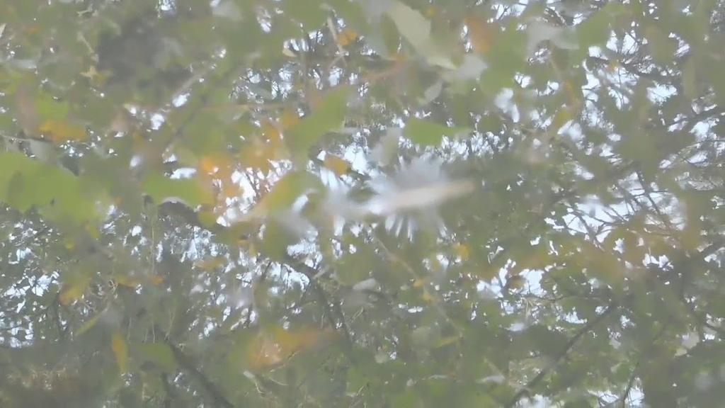 What is this wriggly thing? - Animals - Survive France