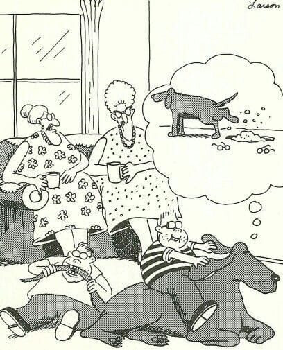 A little mid-week humour to lighten the mood - Comedy/Humour - Survive ...