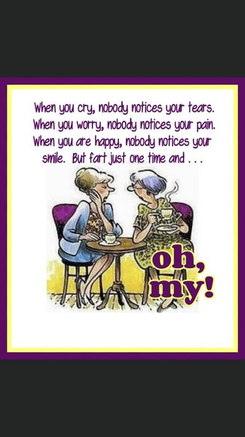 A little mid-week humour to lighten the mood - Page 147 - Comedy/Humour ...