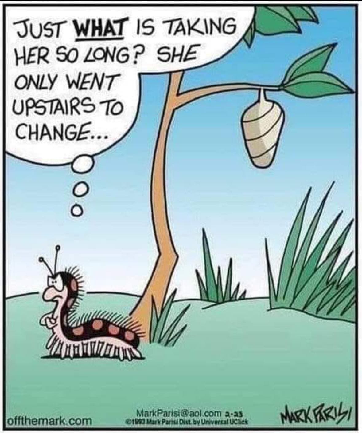 A little mid-week humour to lighten the mood - #5471 by LollyS - Comedy ...