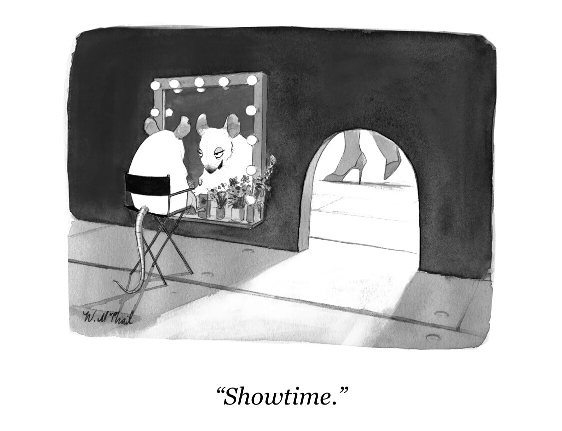 A little mid-week humour to lighten the mood - Page 300 - Comedy/Humour ...