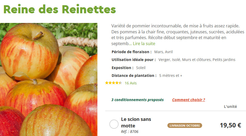 Website to order apple trees - Gardening - Survive France