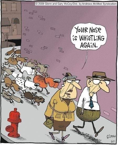 A little mid-week humour to lighten the mood - #2705 by Griffin36 ...