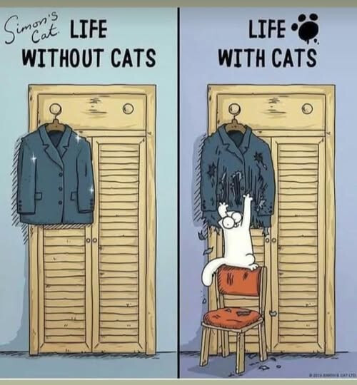 A little mid-week humour to lighten the mood - Page 272 - Comedy/Humour ...