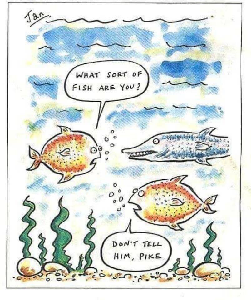 A little mid-week humour to lighten the mood - Page 169 - Comedy/Humour ...