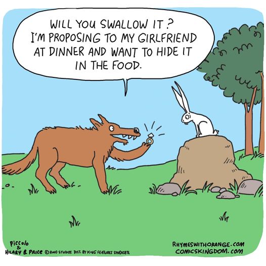 A little mid-week humour to lighten the mood - Comedy/Humour - Survive ...