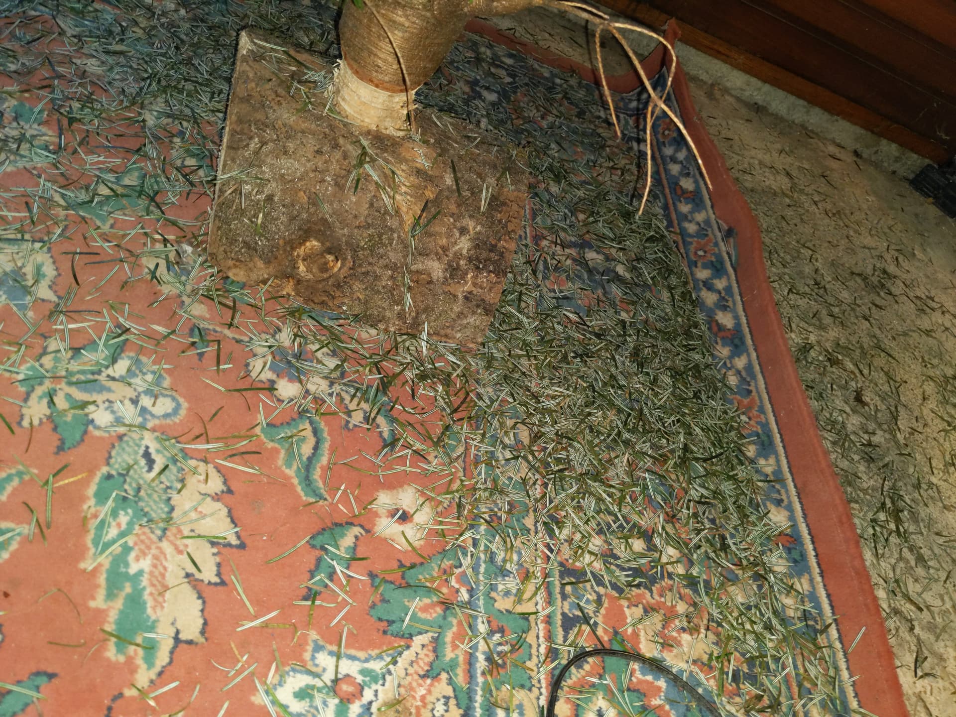 Not applicable in the Cheerful News thread - Page 5 - General ...